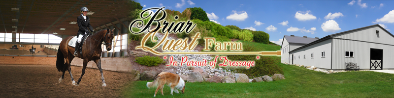 copy-cropped-briarbanner3.png – BriarQuest Farm